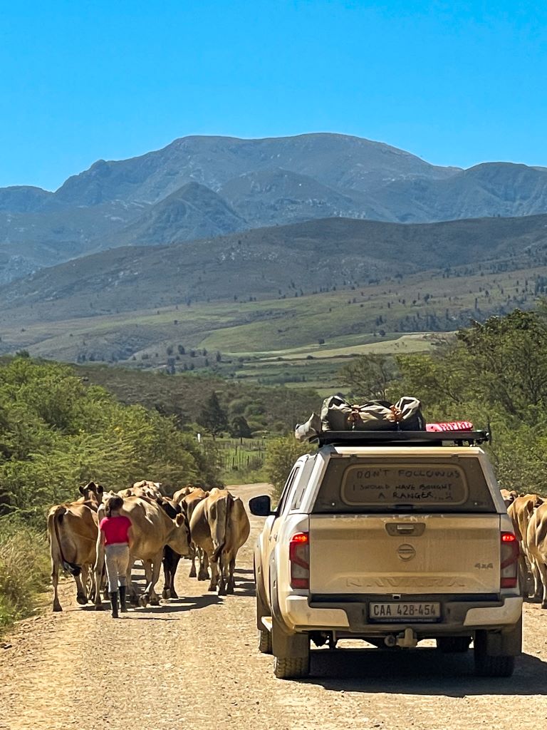 Western Cape Road-trip | Day 0 | Trip planning and details - GoAdventure